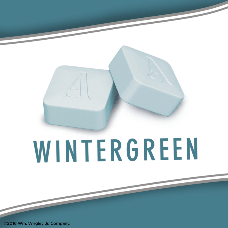 ALTOIDS Smalls Wintergreen Sugarfree Mints, 0.37 oz (Pack of 9) | ALTOIDS®